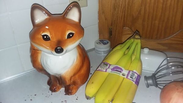 Awesome and rare thrift shop finds