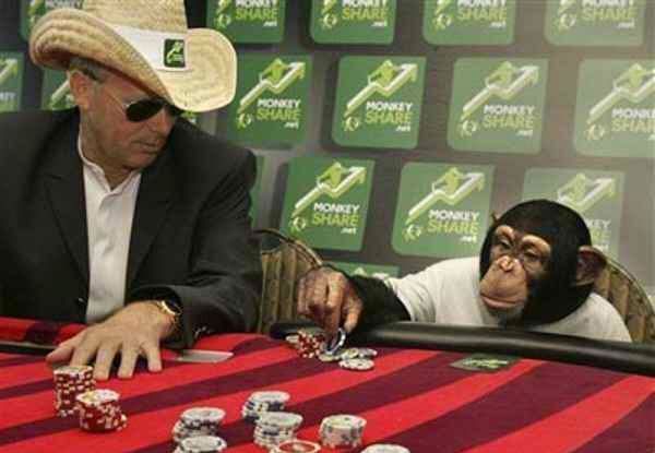 Scientists taught monkeys about money so they gambled and bought ...
