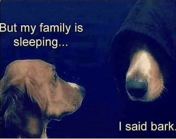 Dog owners can seriously relate to these K9 memes