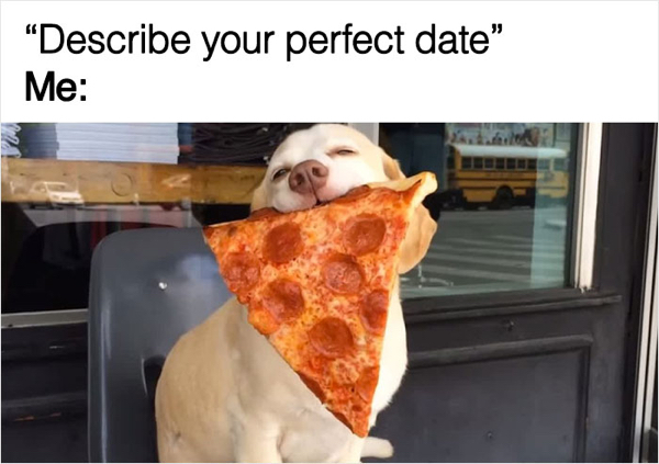 Dog owners can seriously relate to these K9 memes