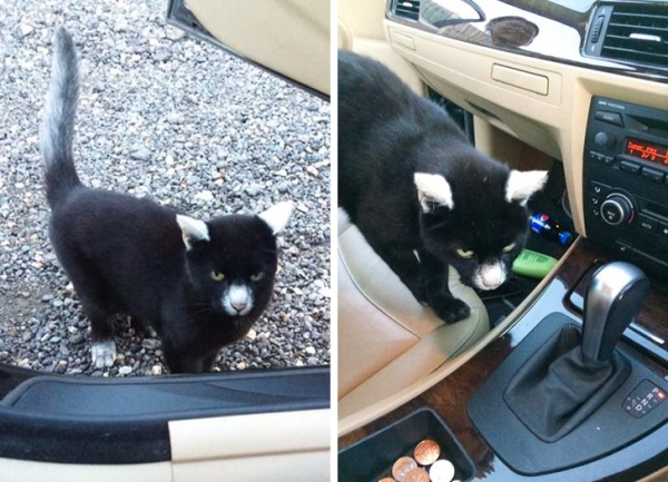 Animals with mutations that make them all the more lovable (20 Pics)