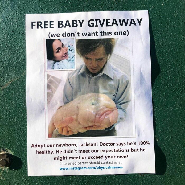Man trolls neighborhood with posters and they're perfectly ridiculous