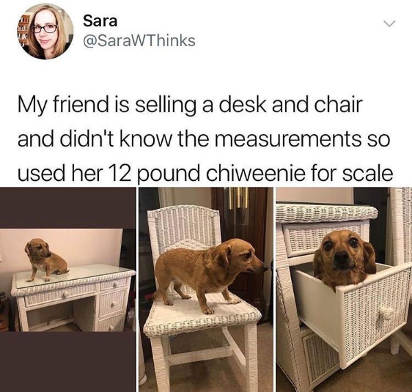 Fancy A Chuckle? You Laugh, You Lose!