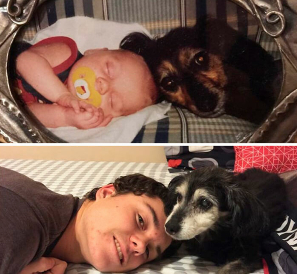 Dog owners can seriously relate to these K9 memes