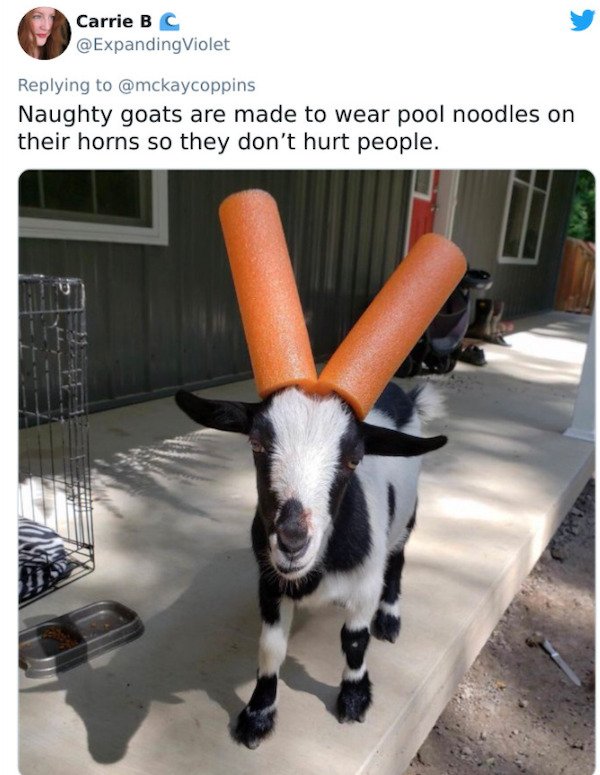 Random Facts To Tell Your Friends random-facts-to-tell-your-friends