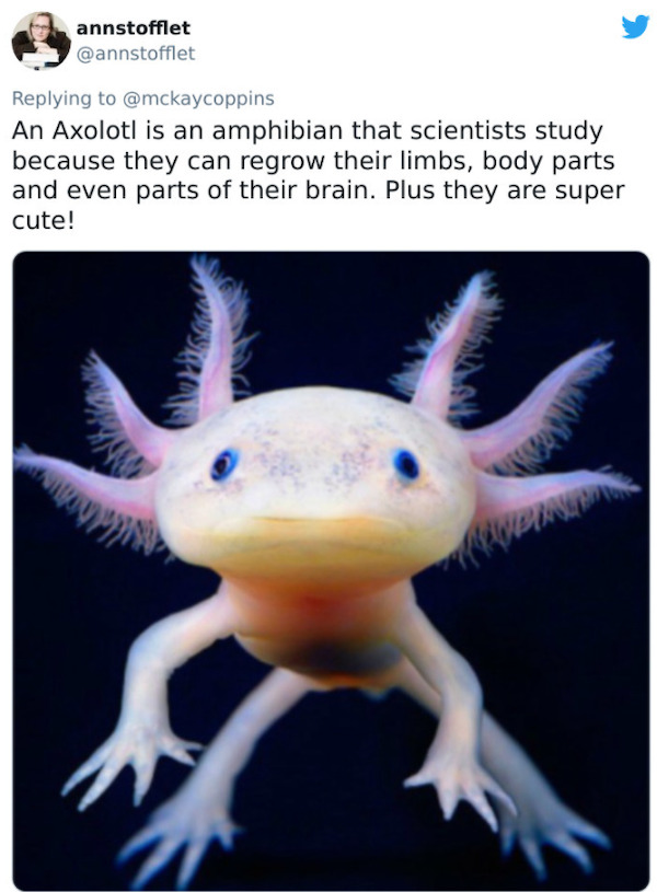 random-facts-to-tell-your-friends