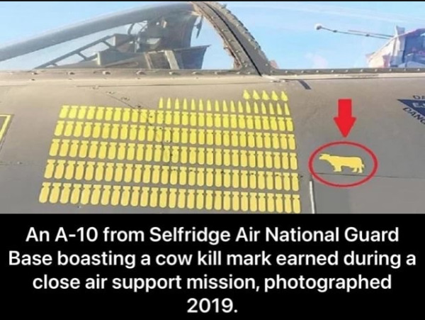 Best A-10 Warthog Memes New Thunderbolt ii Funny Military Humor Brrrrt