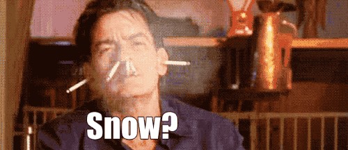 Snow Memes Winter Funny GIFs Fails Photos theChive 2018