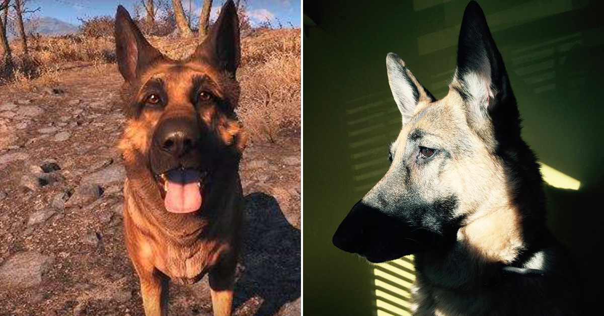 The true story behind Fallout 4's most beloved companion, Dogmeat.