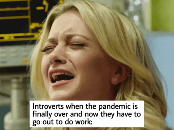 Put your pants on, it's returning to work memes (25 Photos)
