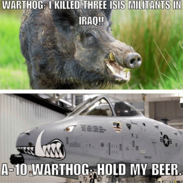 Best A-10 Warthog Memes New Thunderbolt ii Funny Military Humor Brrrrt
