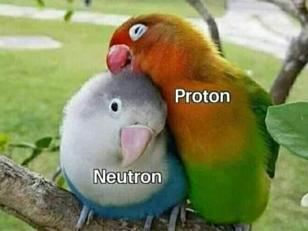 The Perfect Formula Of Science Memes