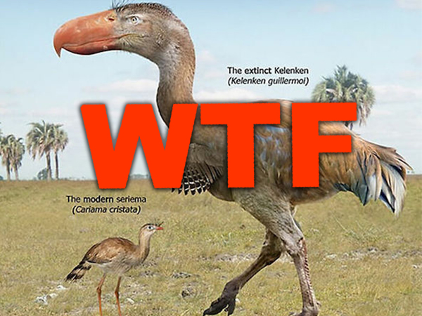 Size Comparisons Of Prehistoric Vs. Present Day Animals