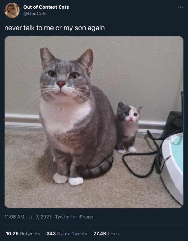 Tweets that capture the lives of our Dogs & Cats