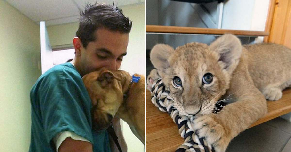 Veterinarians share their favorite, and adorable, patients