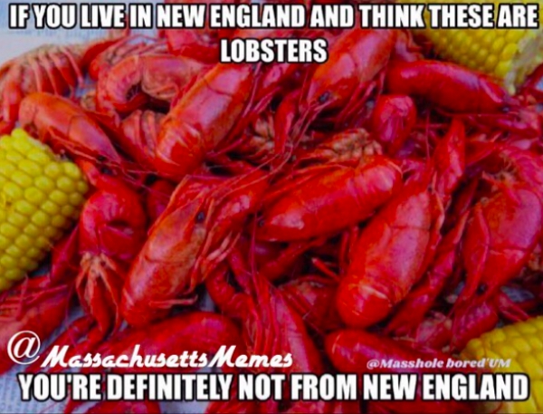 Only New Englanders will understand these memes...(30 Photos)