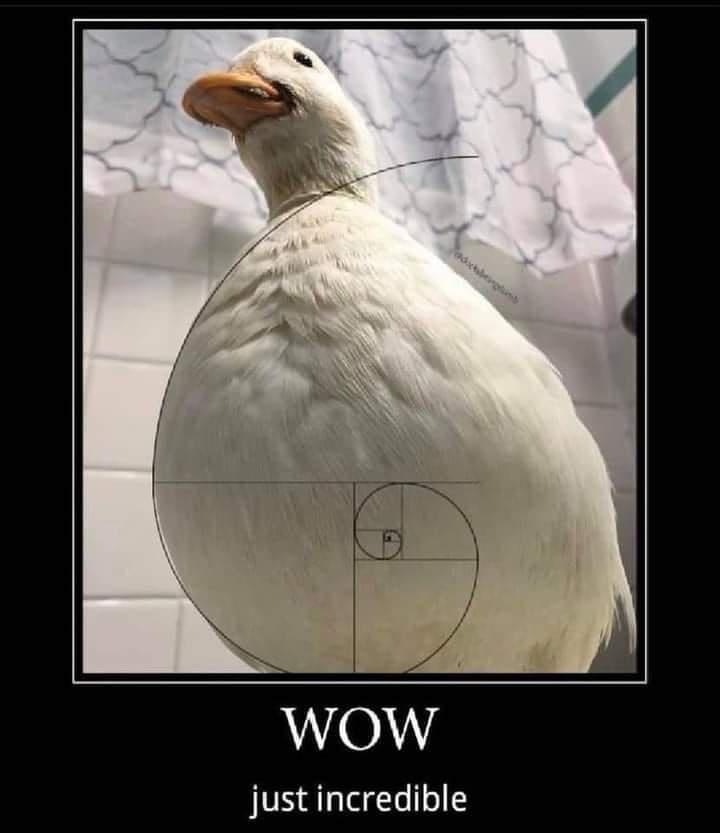 The Perfect Formula Of Science Memes