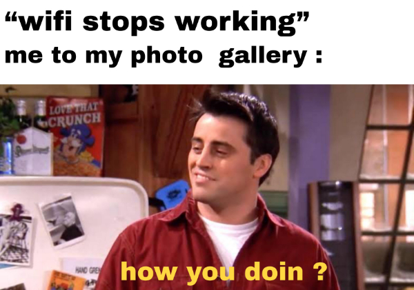 Memes So Dank They Stank