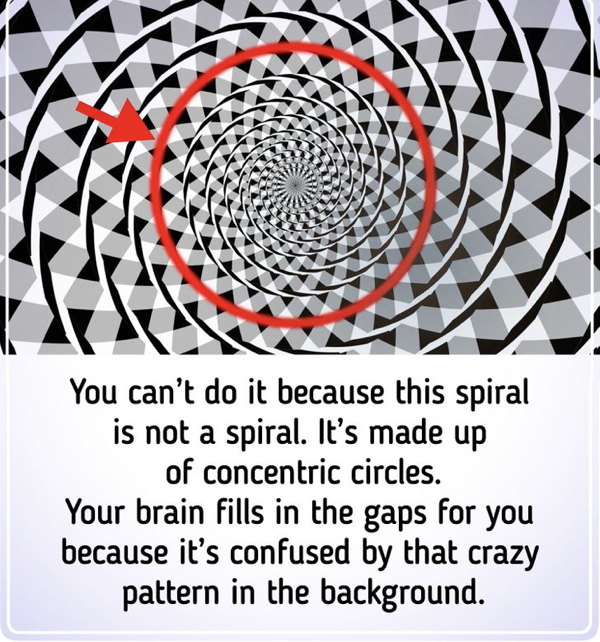 16 optical illusions it's near impossible to wrap our head around