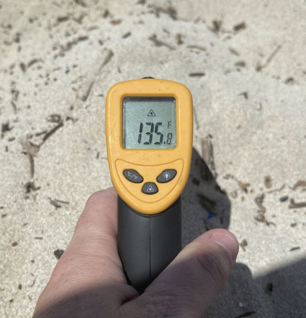 Heatwave pics that will make you want a cold shower