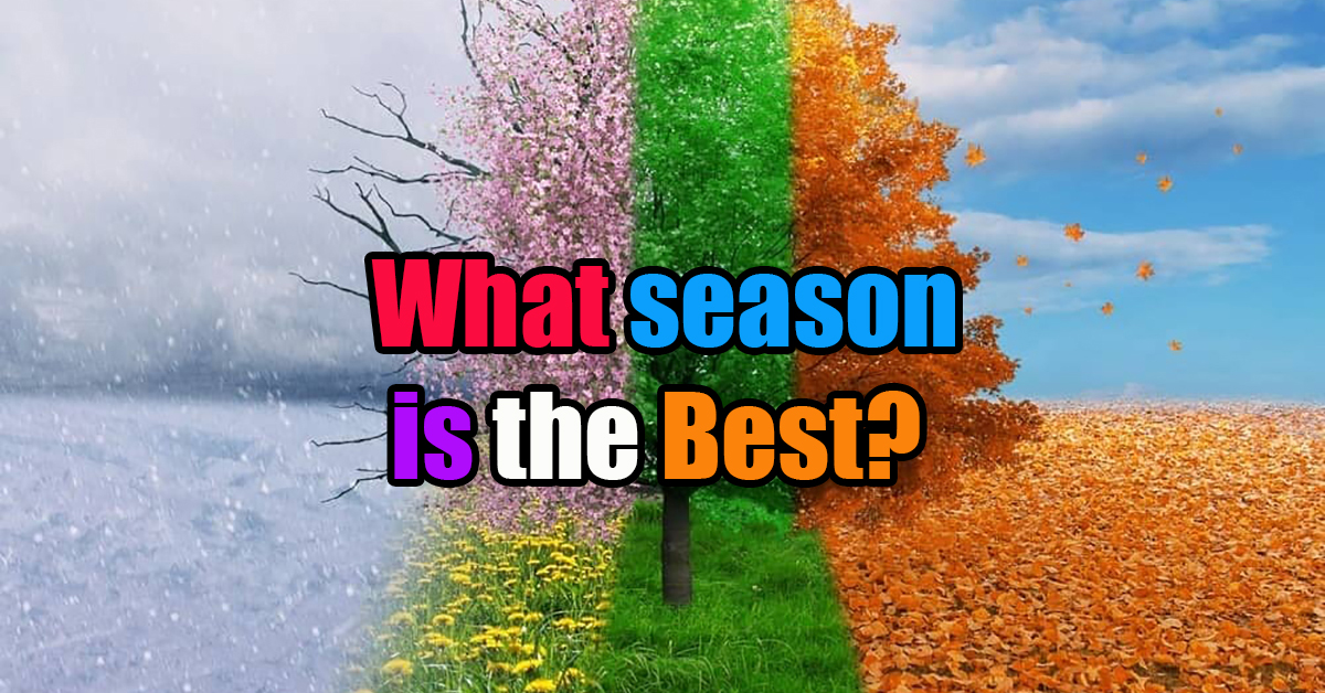 People share their opinion of what is truly the greatest season of all