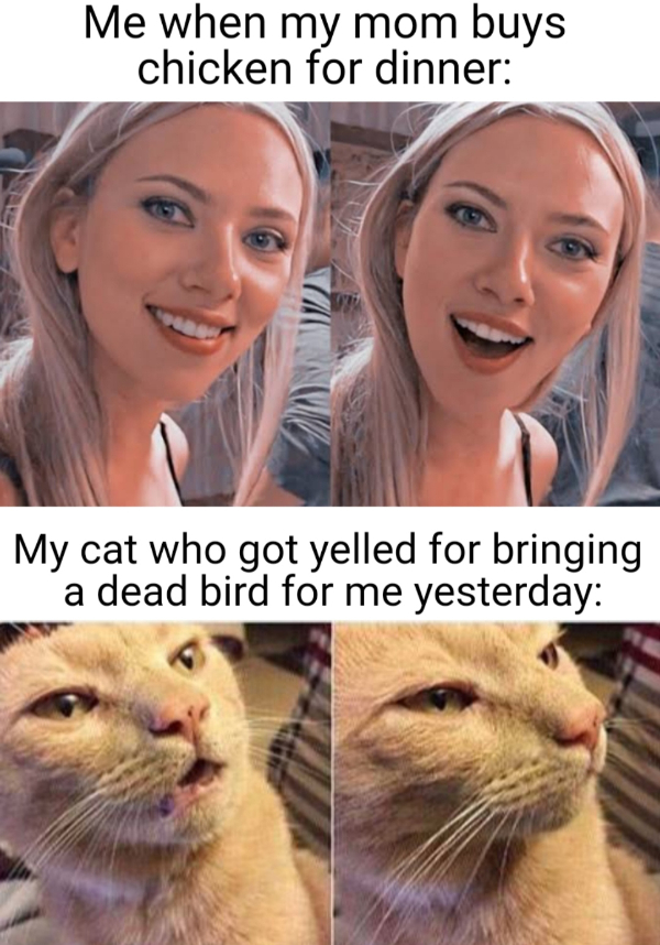 A Dank a Dank a Dank Memes of the Week