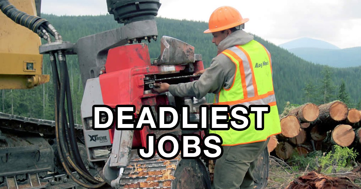 The top-20 DEADLIEST jobs in America