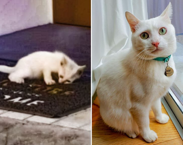 Tremendous transformations you've got to admire