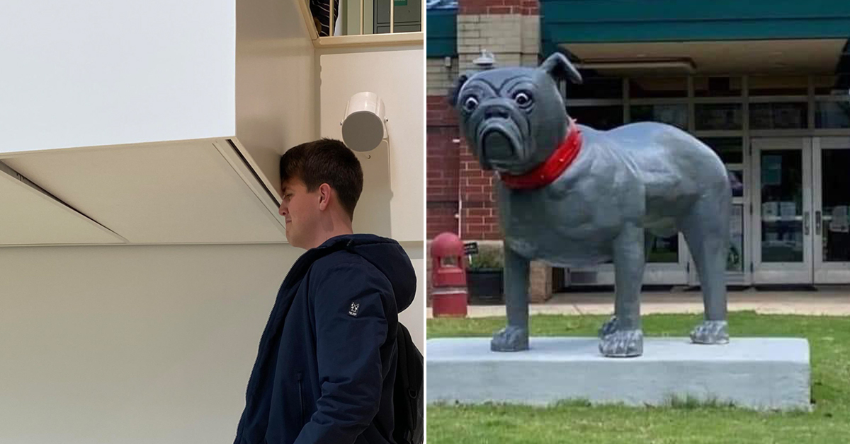 School design fails that were anything but well thought out