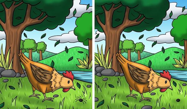 See if you can pass the 'Idiot Test' with these simple brain teasers!