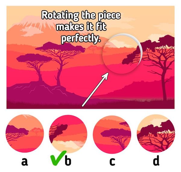 See if you can pass the 'Idiot Test' with these simple brain teasers!
