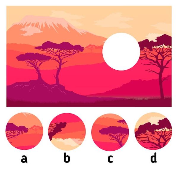 See if you can pass the 'Idiot Test' with these simple brain teasers!