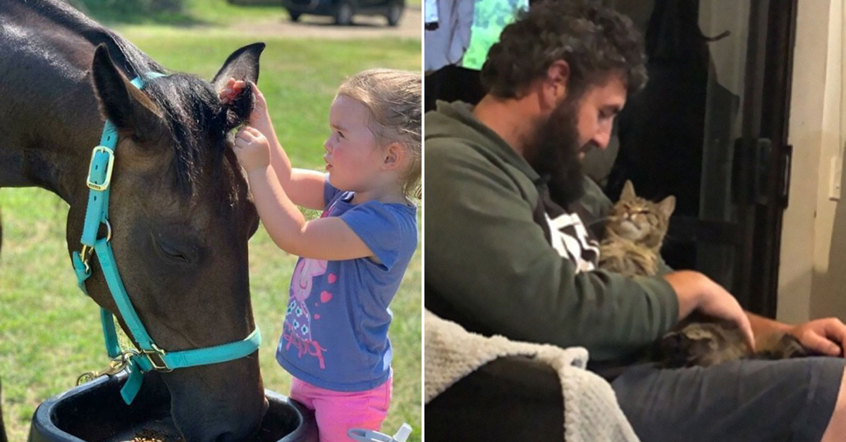Rescue pets: who saved who?