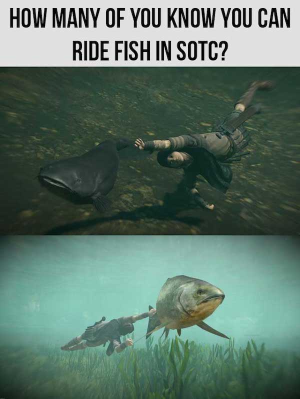 Video game memes to help you level up