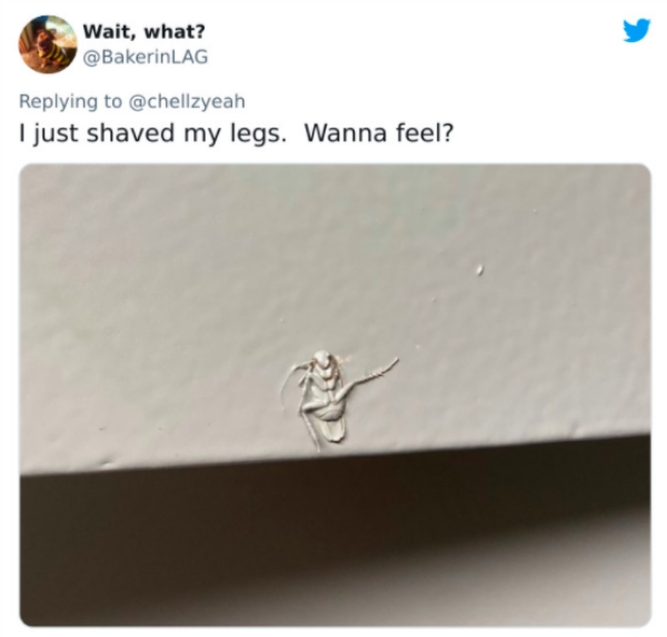 People are ROASTING this landlord's insane paint job...(28 Photos)