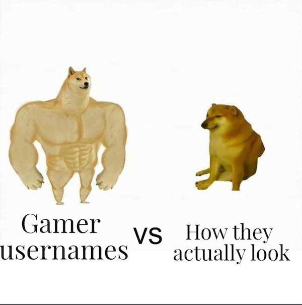 Video game memes to help you level up