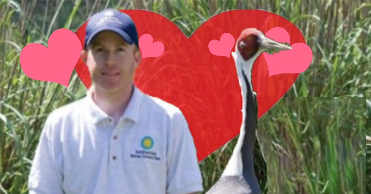 Love making, parenthood and murder: the story of bird and man