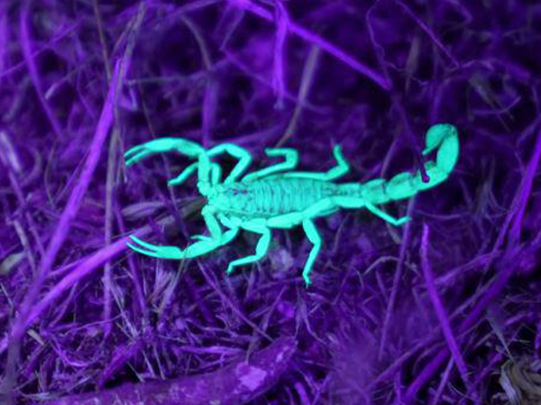 Fascinating Pictures Of Nature Acting WILD!