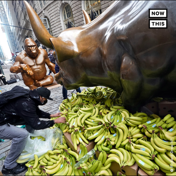 Harambe statue, 10,000 bananas appear by Wall Street bull