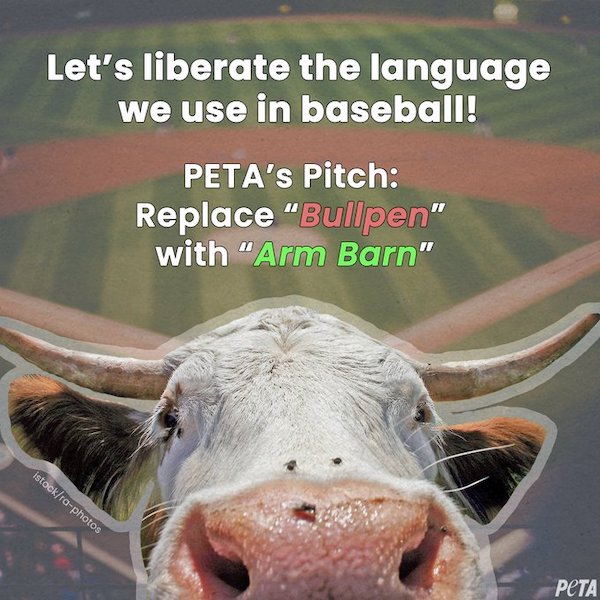 PETA wants MLB to change 'bullpen' to 'arm barn' for sake of cows