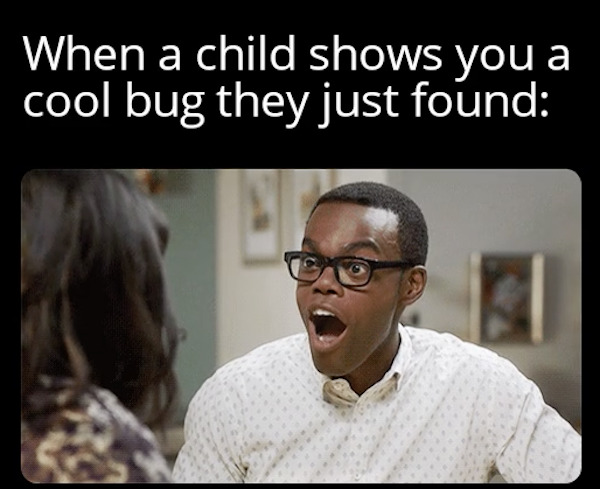 The most wholesome heckin' memes on this side of the internet