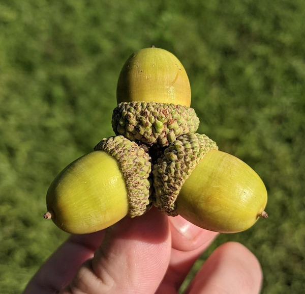 Fascinating Pictures Of Nature Acting WILD!