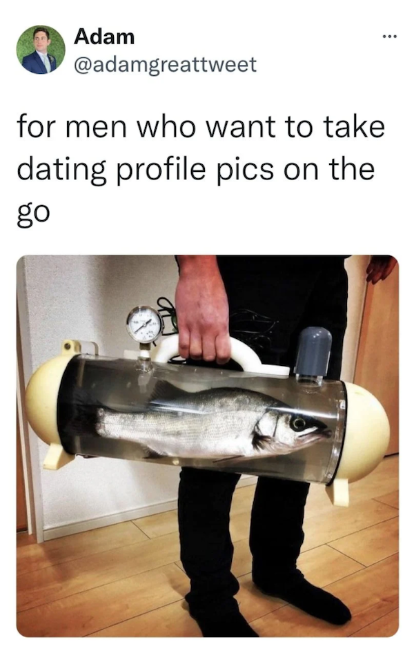 Memes you will only understand if you are as single as a Pringle