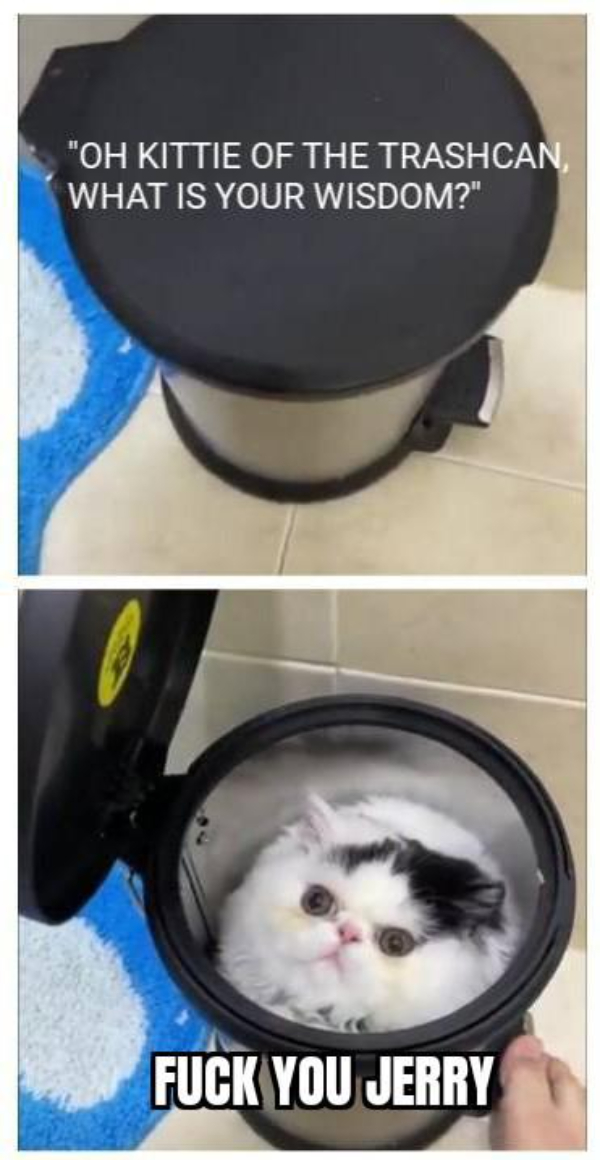 The Best Dank Memes on the Internet This Week