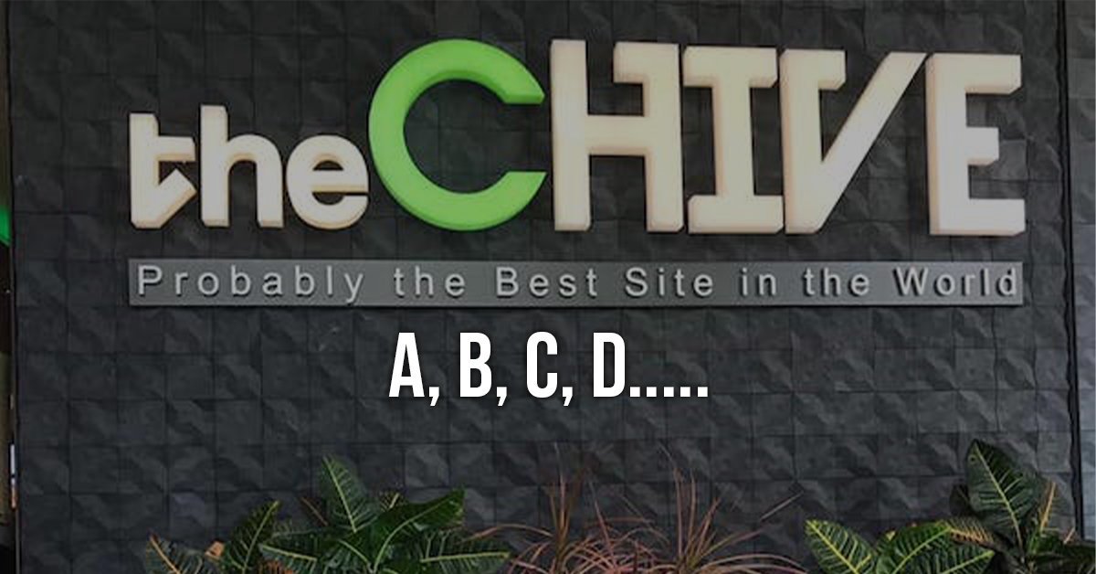 Go back to school with the ABC's of theCHIVE
