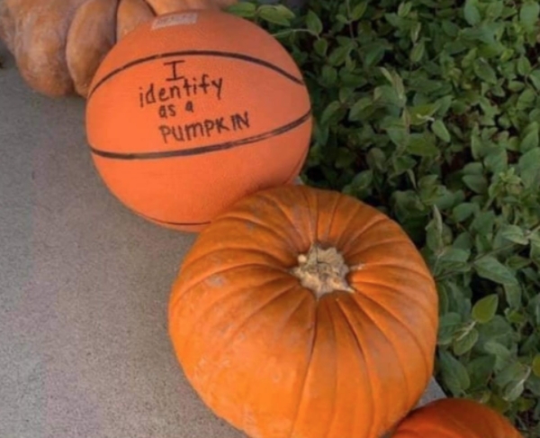 The funniest bloody memes for Halloween (30 Photos)