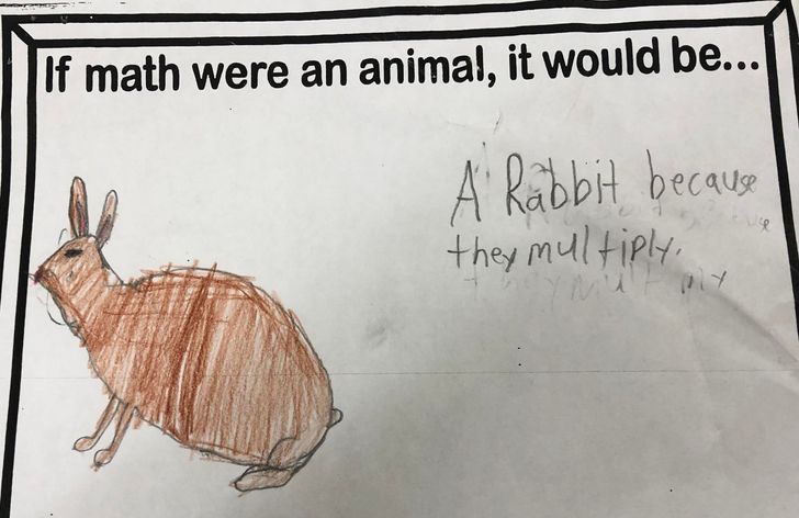 Kids' test answers are so bizarre they just might be brilliant