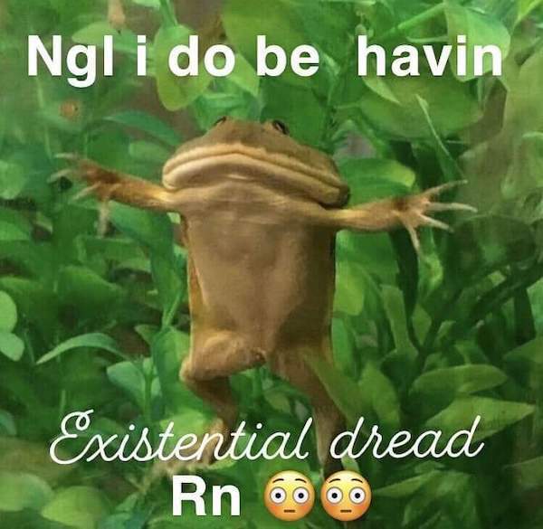 Don't FROGET to check out these TOADALLY RIBBETING frog memes