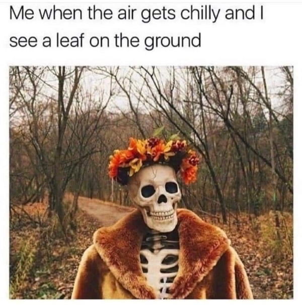 Paranormal Memes to keep you up at night... from laughter