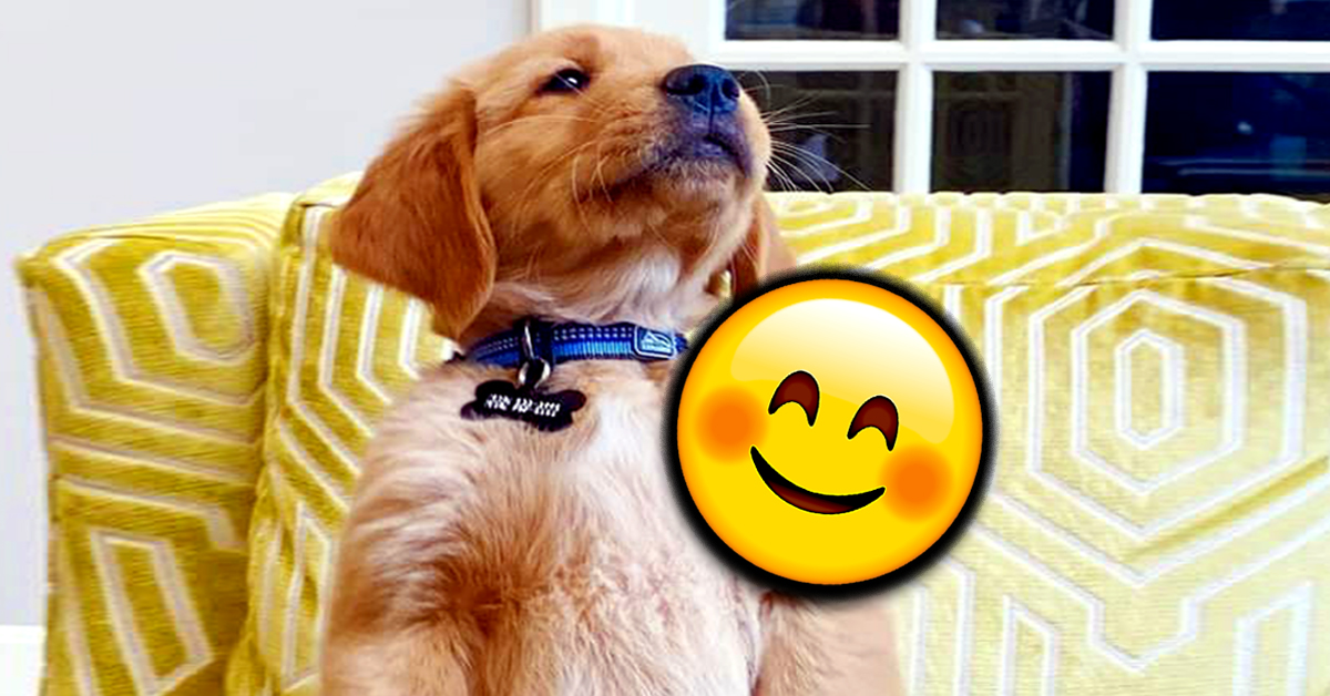 It's the little things in life that bring the most happiness |theCHIVE